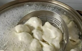 牛肉茴香饺子馅怎么做_牛肉茴香饺子馅的做法窍门