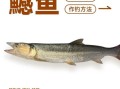 野生鳡鱼图片_如何分辨真假野生鳡鱼