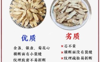 黄芪长什么样子_如何辨别真假黄芪