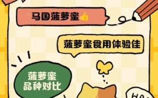 菠萝蜜国际通道一区麻豆是什么_如何安全访问