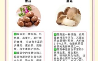 香菇有什么功效与作用_香菇的营养价值