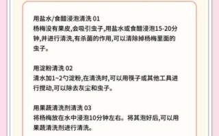 杨梅怎么洗干净_杨梅清洗的正确方法