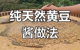 怎样制作黄豆酱_家庭版黄豆酱怎么做