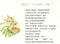 洋槐蜂蜜的功效与作用_洋槐蜂蜜怎么辨别真假