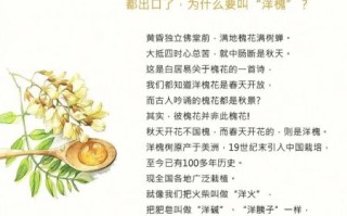 洋槐蜂蜜的功效与作用_洋槐蜂蜜怎么辨别真假