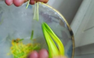 黄花菜的花蕊能吃吗_鲜黄花菜花蕊怎么处理