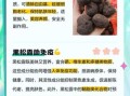松露的功效与作用怎么吃_松露的正确吃法