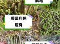 野蕨菜的功效与作用_野蕨菜怎么吃才健康