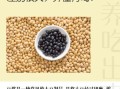黑豆豆浆和黄豆豆浆哪个好_黑豆豆浆和黄豆豆浆的区别