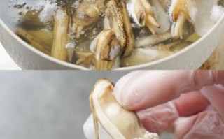 蛏子怎么清洗_蛏子清洗要不要去内脏