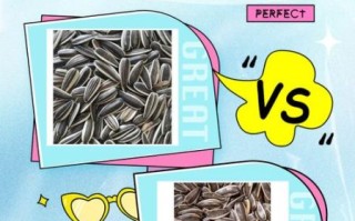 生瓜子和熟瓜子哪个更有营养_区别与选择 生瓜子和熟瓜子哪个更有营养_区别与选择