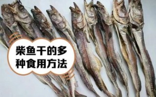 柴鱼有什么功效_柴鱼干怎么煲汤最营养