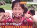 百香果女孩是什么意思_百香果女孩网络梗出处