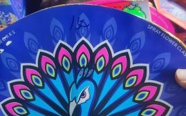 孔雀开屏烟花怎么放_孔雀开屏烟花多少钱