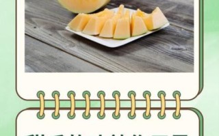 甜瓜的功效与作用_甜瓜吃多了有什么害处