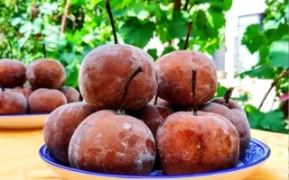 青海西宁特产水果有哪些_高原水果好吃吗