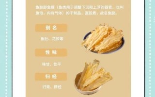 鱼鳔和花胶的区别_花胶是不是鱼鳔