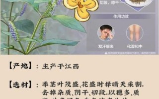 香薷饮的功效与作用_香薷饮怎么做