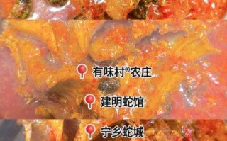 口味蛇图片_口味蛇怎么做才正宗