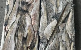 狭鳕鱼是什么鱼_狭鳕鱼图片怎么分辨真假