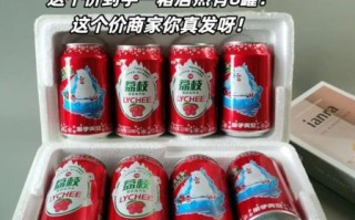 老式汽水配方有哪些_如何在家复刻经典味道