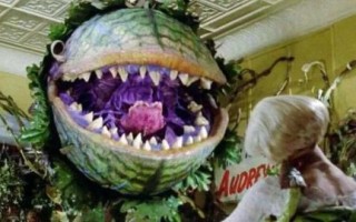 食人花真的吃人吗_食人花长什么样子