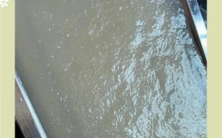 水晶糕怎么做_水晶糕为什么透明