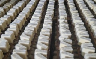 豆腐怎么发酵成臭豆腐_臭豆腐发酵原理