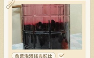 桑子泡酒怎么泡_桑子泡酒比例是多少