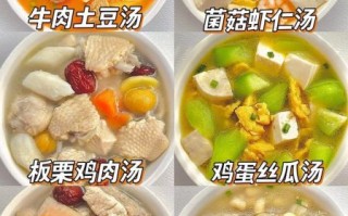 炖汤的做法大全集_怎样炖汤才鲜美
