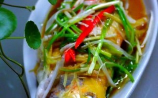 金鳟鱼怎么做好吃_金鳟鱼多少钱一斤