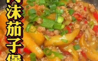 羊肉炖茄子怎么做好吃_家常做法步骤详解