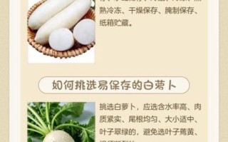 白萝卜怎么保存不空心_白萝卜的功效与作用
