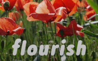 how_to_make_caramel_macchiato_at_home