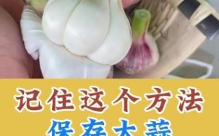 青蒜头怎么保存_青蒜头能放多久