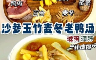 怎样炖鸭子汤好喝_鸭子汤怎么炖不腥