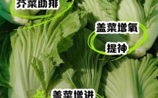 盖菜的功效与作用_盖菜怎么吃最营养