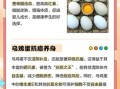 乌鸡蛋的功效与作用_乌鸡蛋适合什么人吃