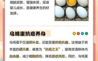 乌鸡蛋的功效与作用_乌鸡蛋适合什么人吃
