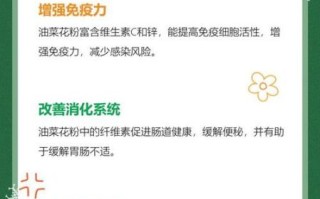 破壁油菜花粉的功效与作用_适合什么人吃