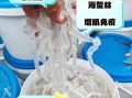 素海蜇丝是什么做的_素海蜇丝和真海蜇区别