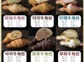 金牛角面包的做法_金牛角面包为什么硬