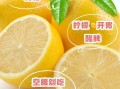 柠檬的正确吃法和禁忌_柠檬怎么吃不伤胃
