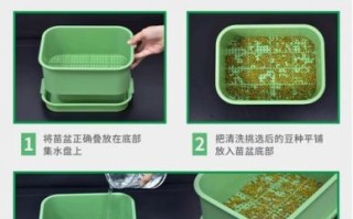 发豆芽用什么容器最好_家用豆芽盒怎么选
