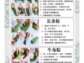 最简单包粽子方法_新手零失败技巧