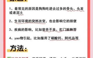 20秒快速排便方法_便秘怎么快速排便