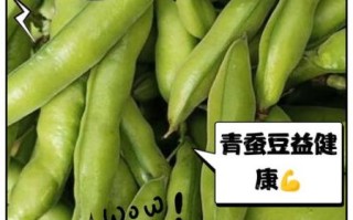 青蚕豆的功效与作用_青蚕豆怎么吃最营养