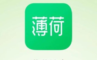 薄荷健康app怎么用_薄荷健康app减肥有用吗