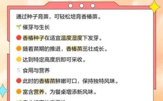 香椿种子怎么吃_香椿种子的药用价值