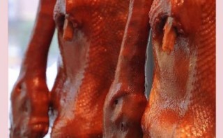 卤鹅潮汕哪里最正宗_潮汕卤鹅做法配方